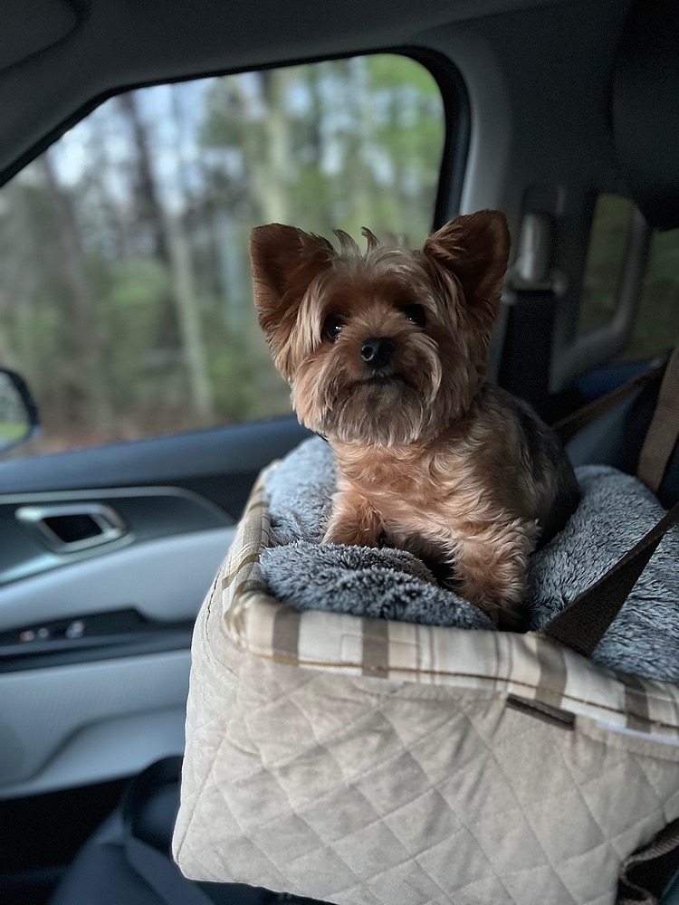 Remembering Beckham Meggers Obituary and Online Memorial (2024)