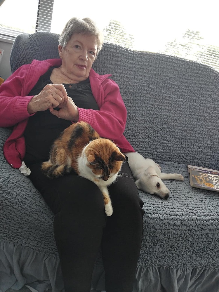Patricia SHEFFIELD Obituary (2024) - The New Zealand Herald