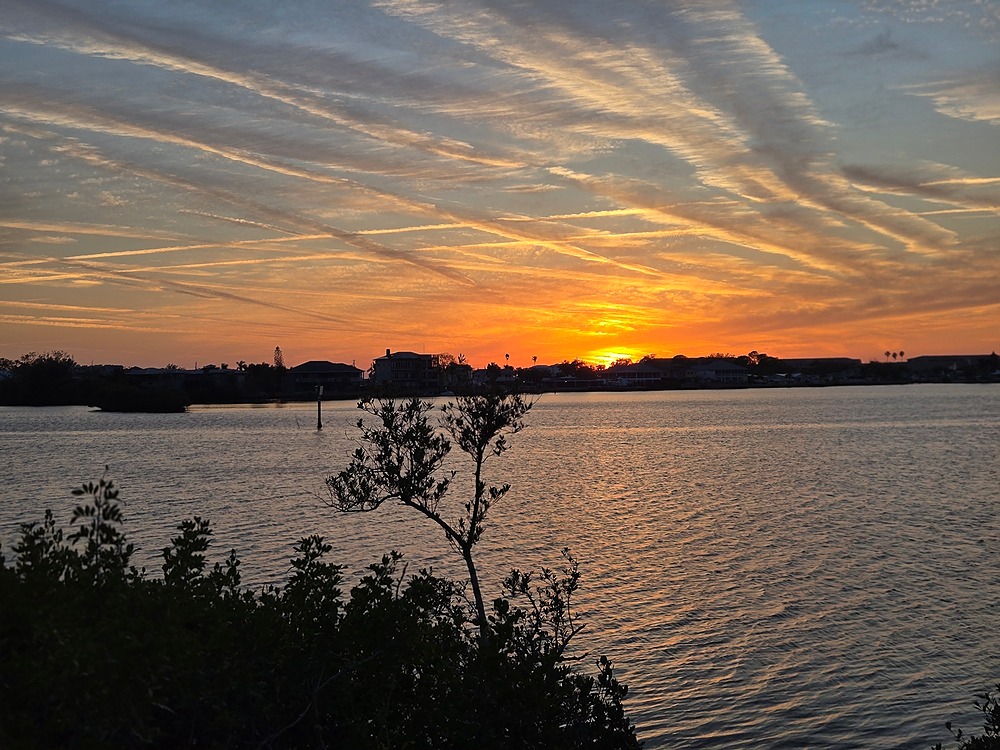 Rowena WILKINSON Obituary (2024) - St. Petersburg, FL - Tampa Bay Times