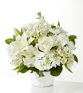 Anthony Bello Obituary (1937 - 2026) - West Conshohocken, PA - WFMZ-TV ...