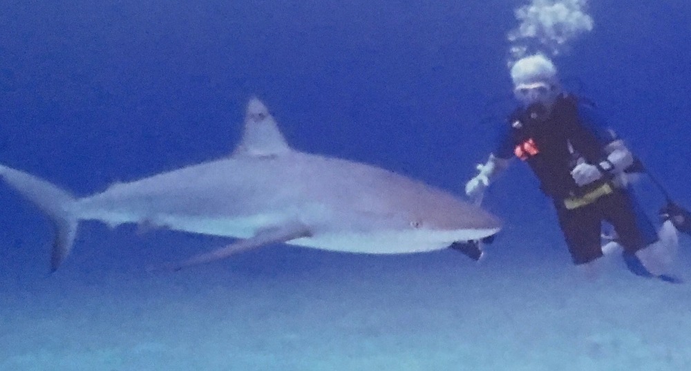 Edgar Martin Obituary and Online Memorial (2026)